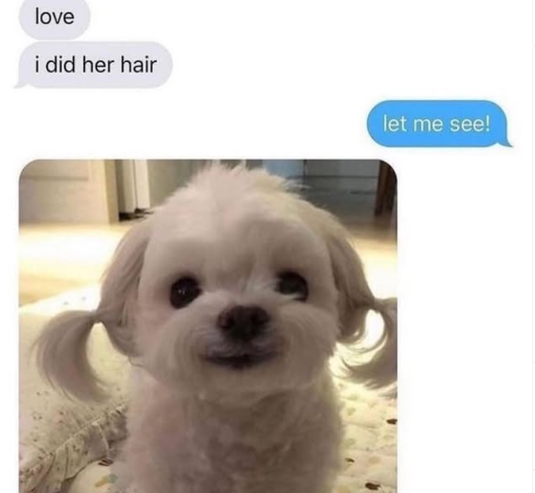 30+ family time memes of good boys and good girls