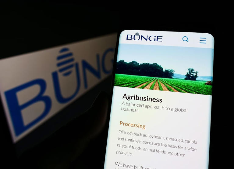 Bunge Global eyes $15 mid-cycle EPS by 2030 as agriculture giant sets goals