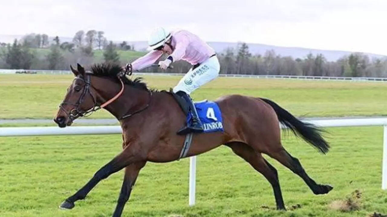 Cheltenham Festival 2026 turns tragic as Hansard suffers fatal injury ...
