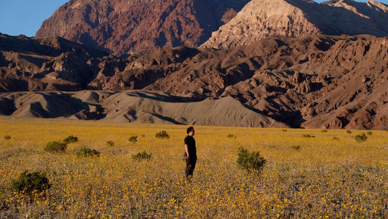 This desolate spot in the West is really showing its spring color