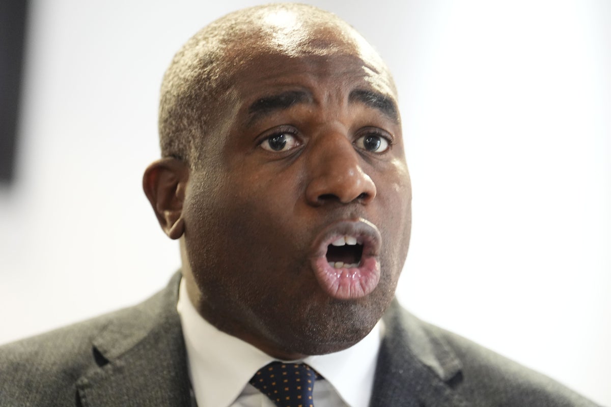 David Lammy’s controversial court reforms supported by MPs despite ...