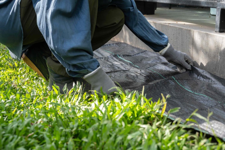 5 reasons you should never use landscape fabric—and what to try instead