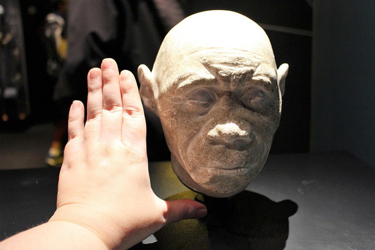 Scientists uncover the likely reason real-life hobbits went extinct ...