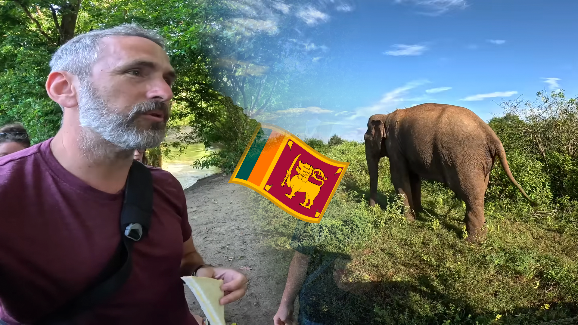 Udawalawe elephant safari 🇱🇰 | Wild Sri Lanka adventure at sunrise