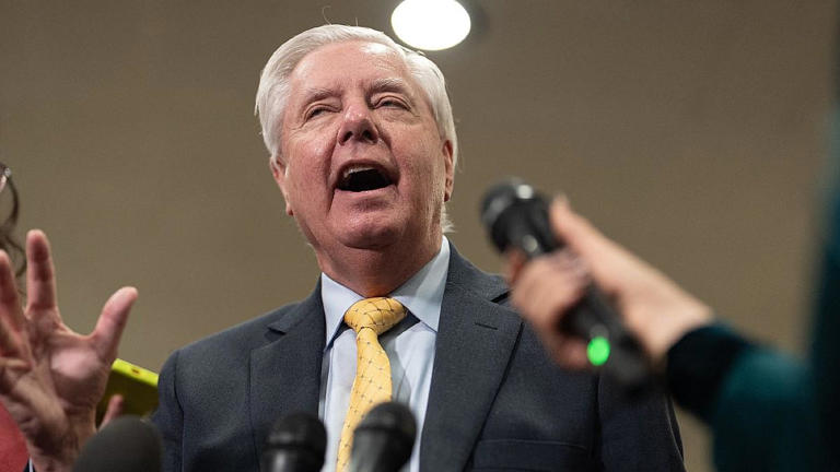 Megyn Kelly rips 'homicidal maniac' Senator Lindsey Graham: 'When did ...
