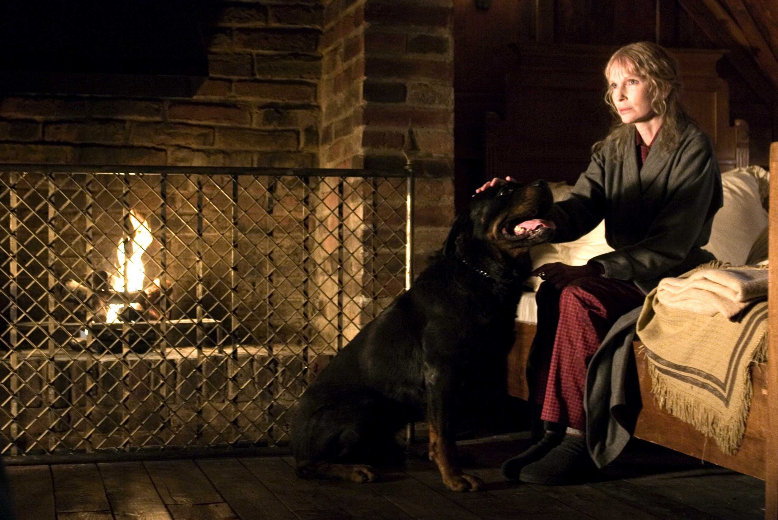 The 20 best horror remakes