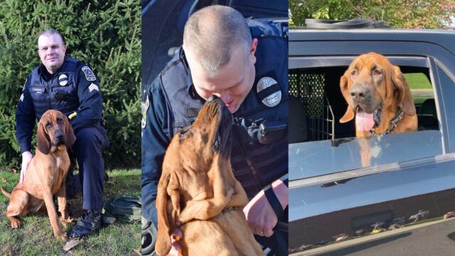 South Fayette Township Police K-9 Ellie Faye dies after battle with cancer