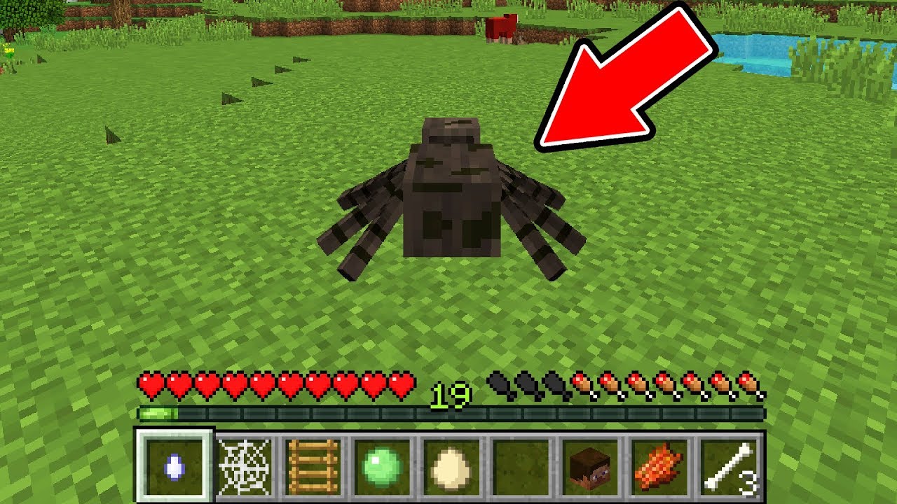 Transforming into a spider in Minecraft