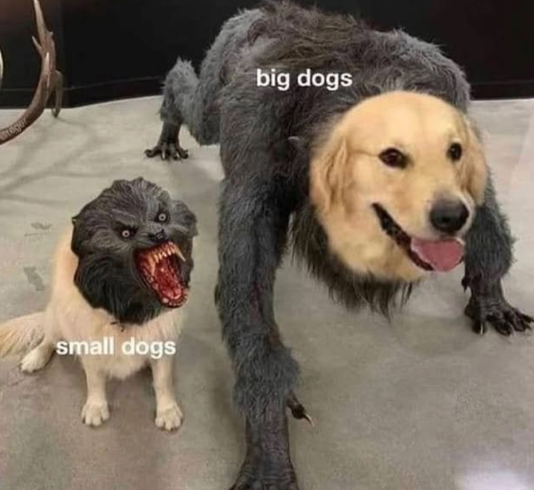 30+ family time memes of good boys and good girls
