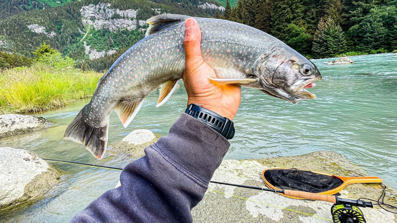 I caught Dolly Varden in wild Alaska! 🎣