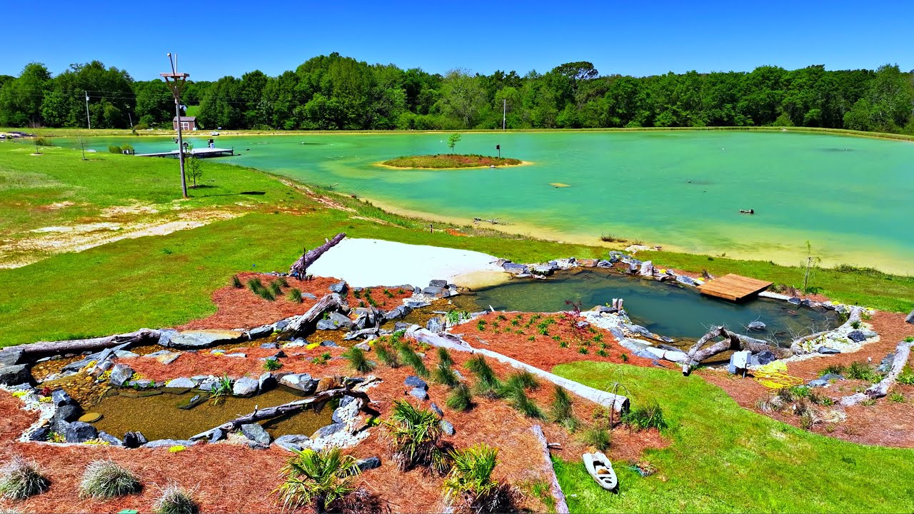 Day 1 to 365: My pond transformation