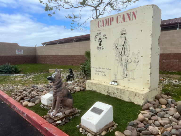 Camp Pendleton upgrades working dog facilities after report finds poor ...