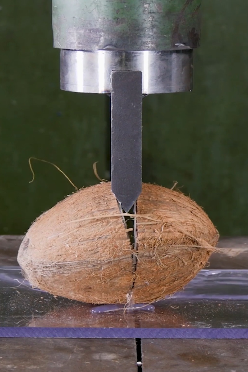 Hydraulic press vs whole coconut