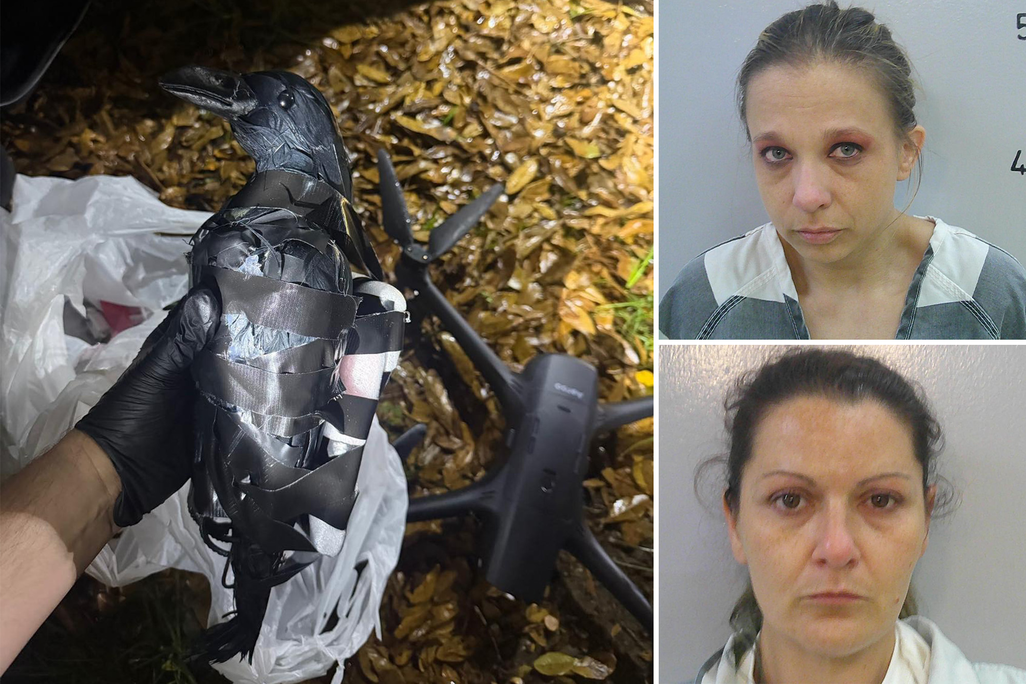 Texas pair arrested for using fake crows flown by drone to smuggle ...