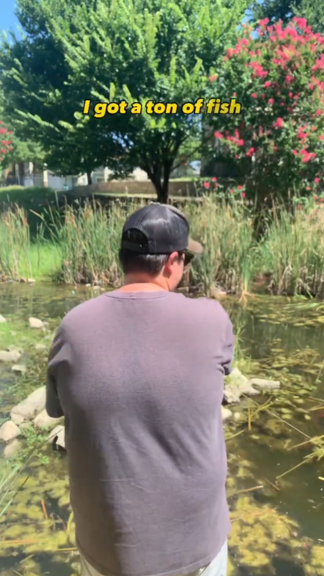 Creek fishing summer continues catching fish in small streams