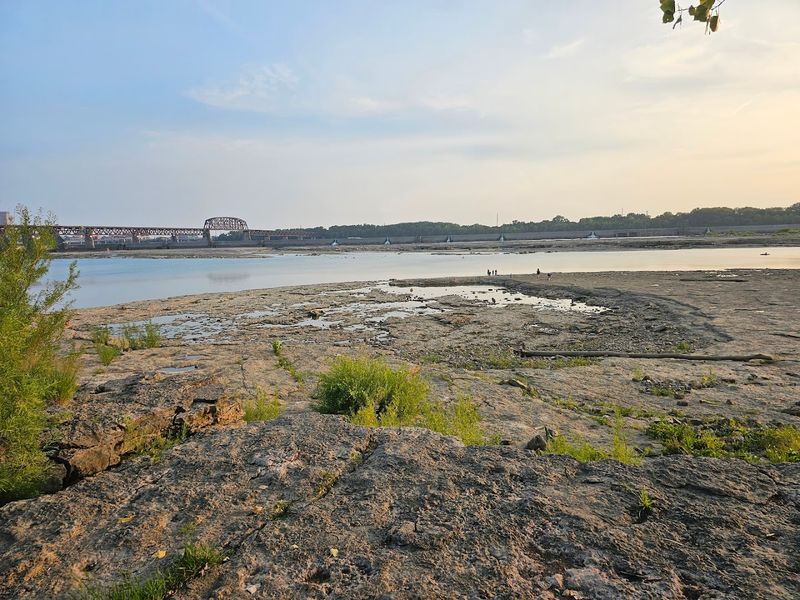 This Indiana ancient sea floor lets you walk across a 390-million-year ...