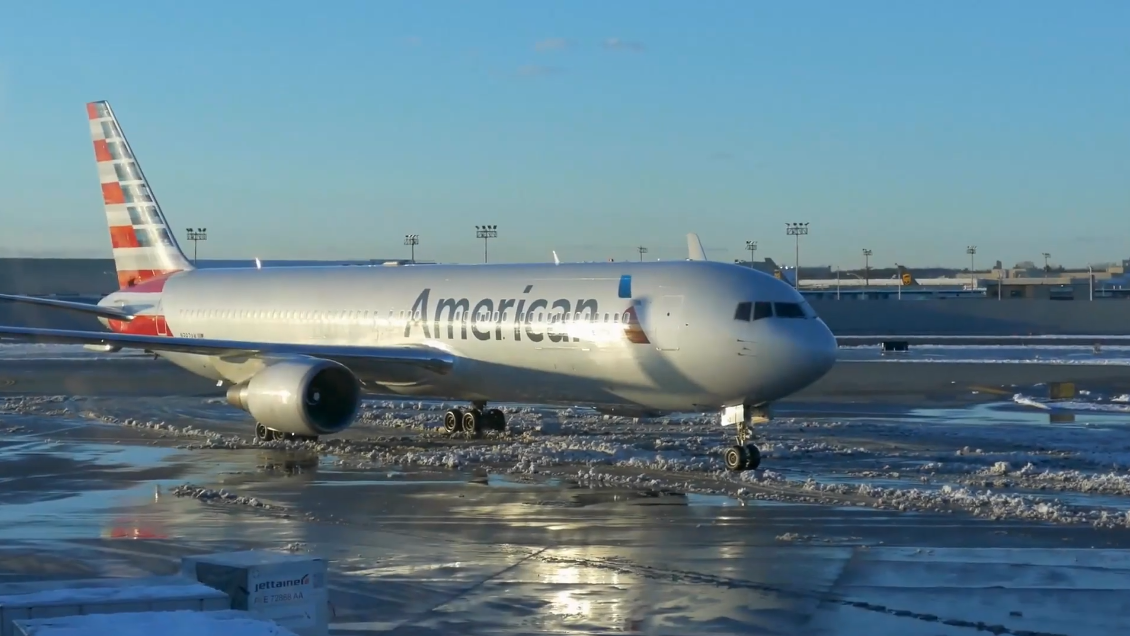 Flight attendants restrain passenger after in-flight chaos
