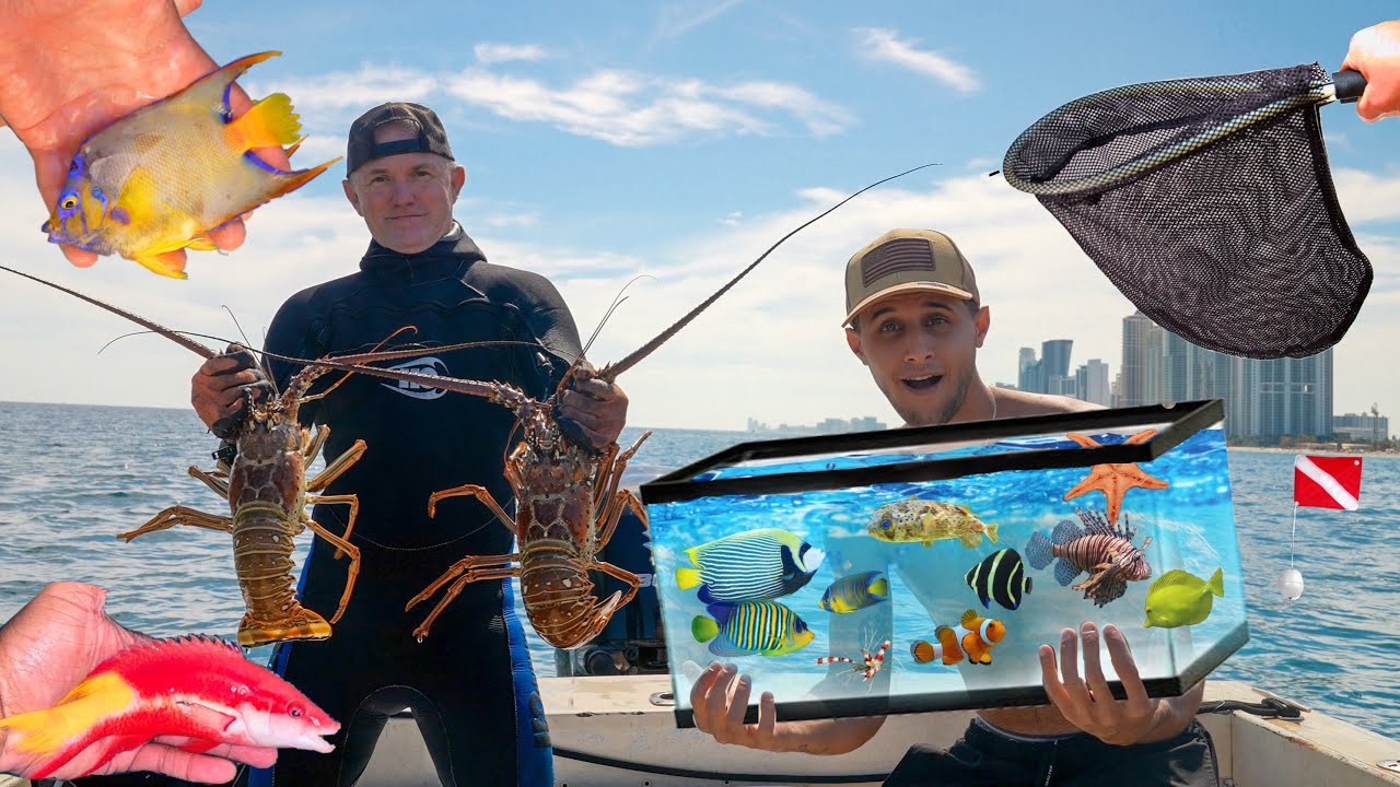 I joined commercial divers to catch tropical fish 🌊