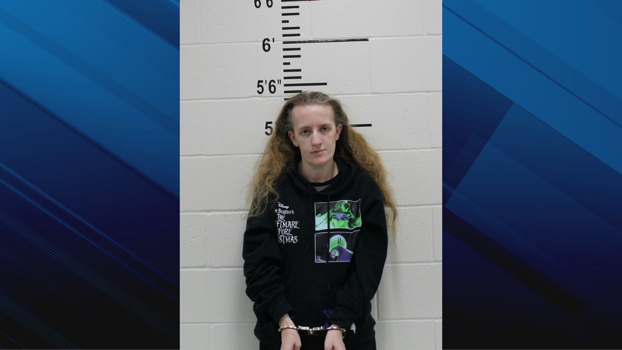 Decorah woman sentenced after giving pregnant woman drug-laced lasagna ...