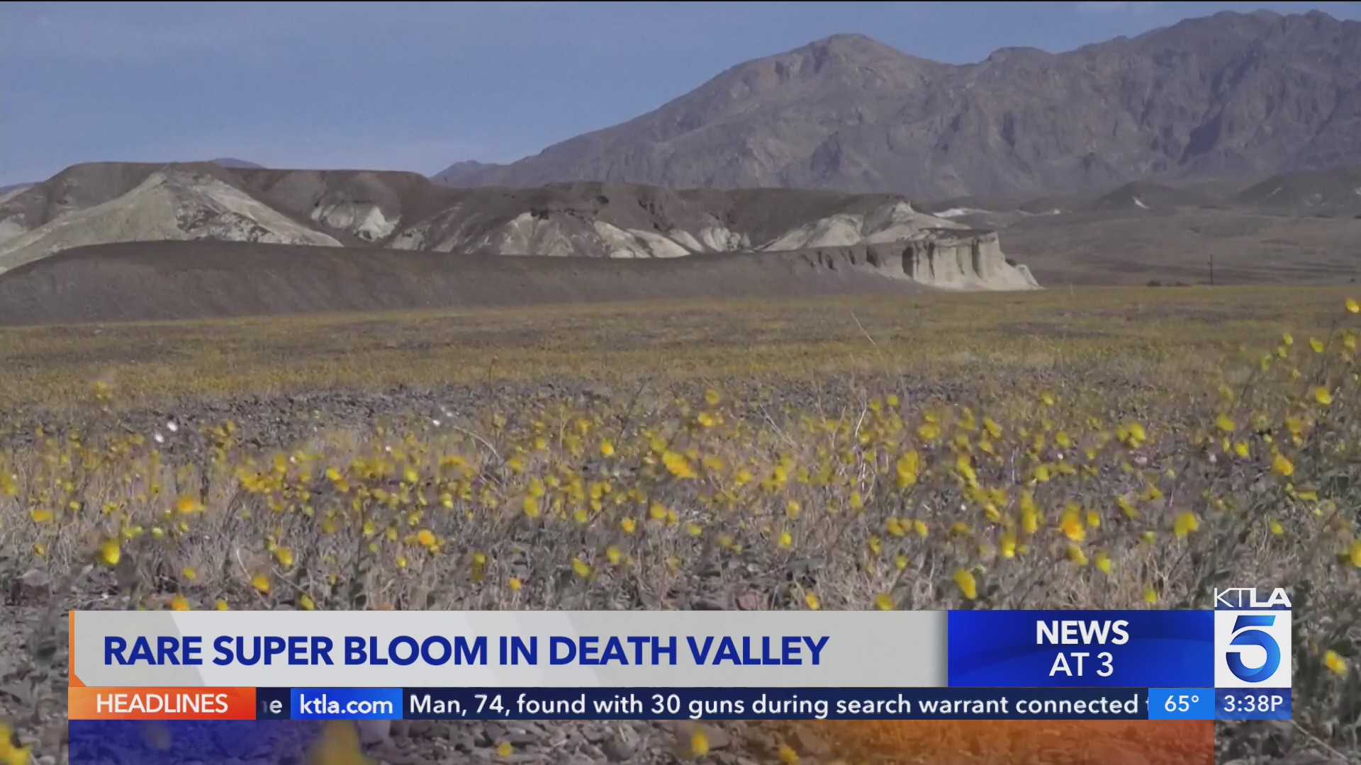 Death Valley sees best super bloom in a decade