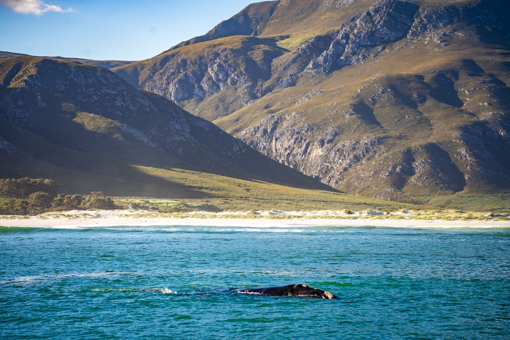 14 island landscapes around the world with dramatic natural beauty