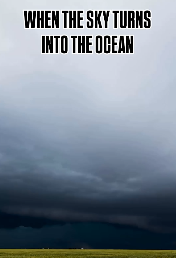 When the sky turns into an ocean | Stunning shelf cloud storm
