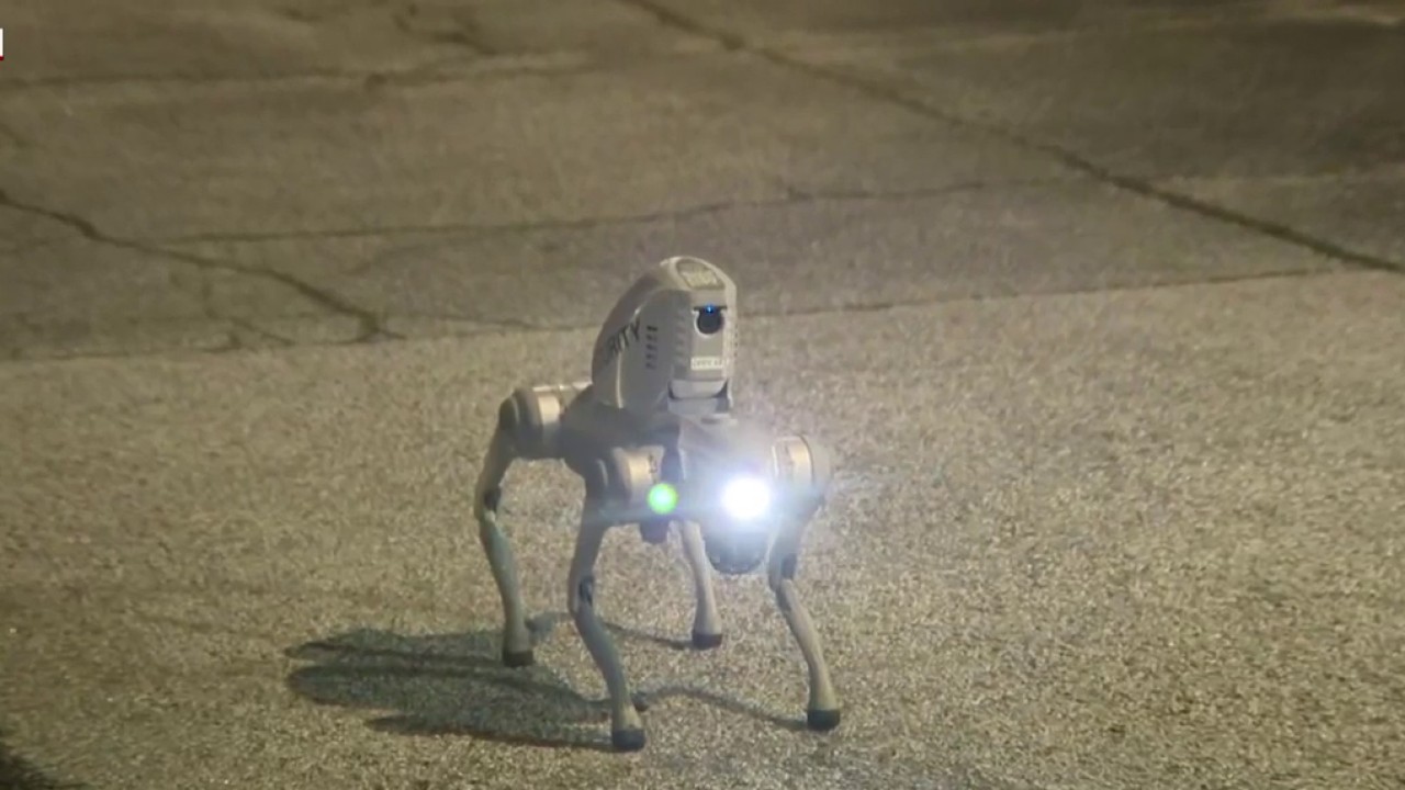 Robotic dogs unleashed to fight Atlanta crime