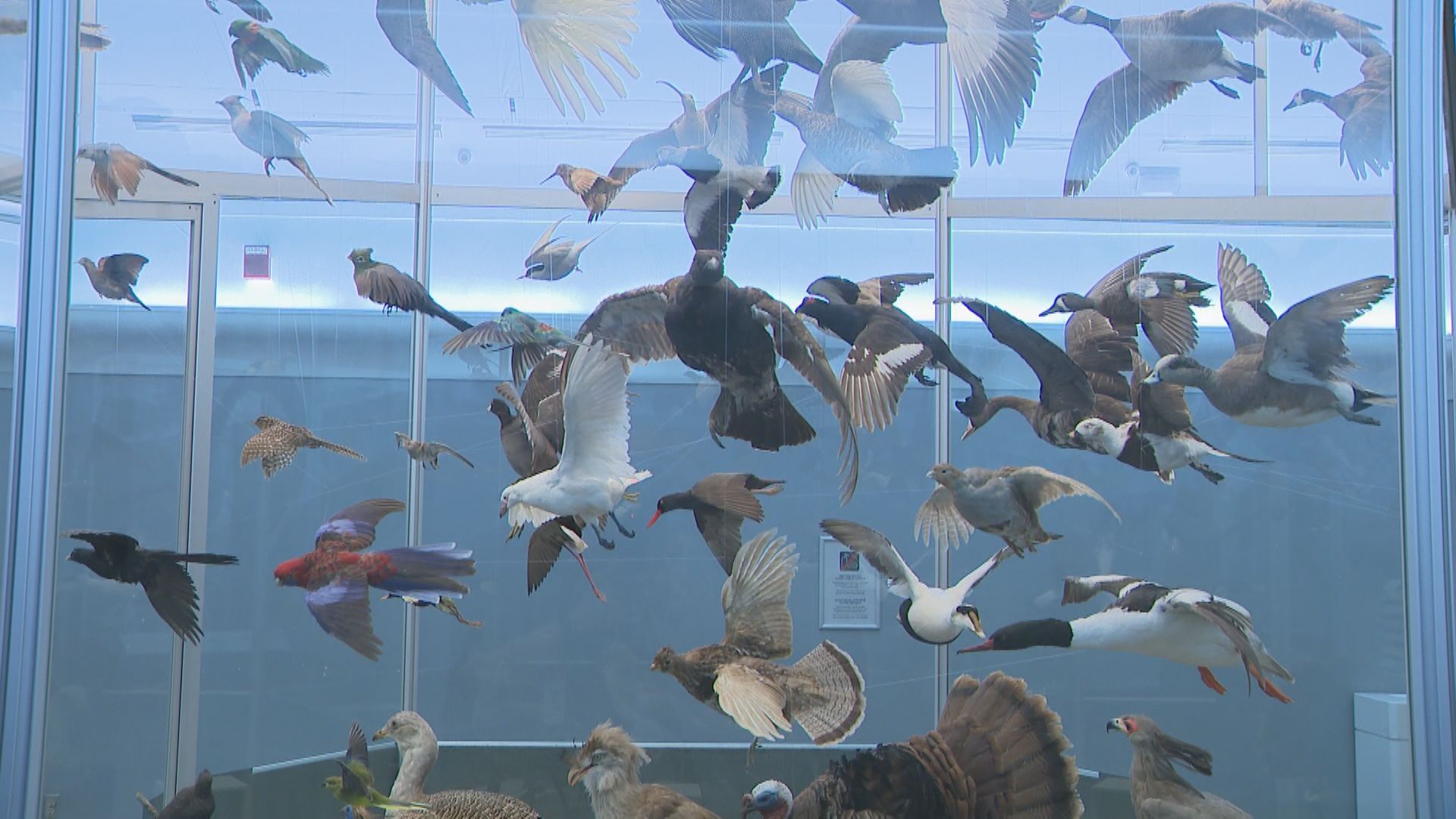March break at the ROM - nine days of family-friendly fun