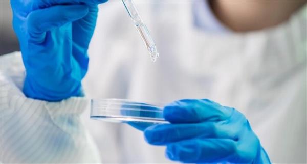 Patrys begins key activities for delirium candidate