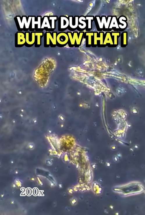 Dust up close, discover the invisible world