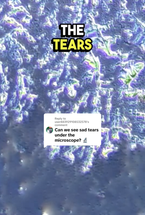 Tears under the microscope: The science of emotion up close