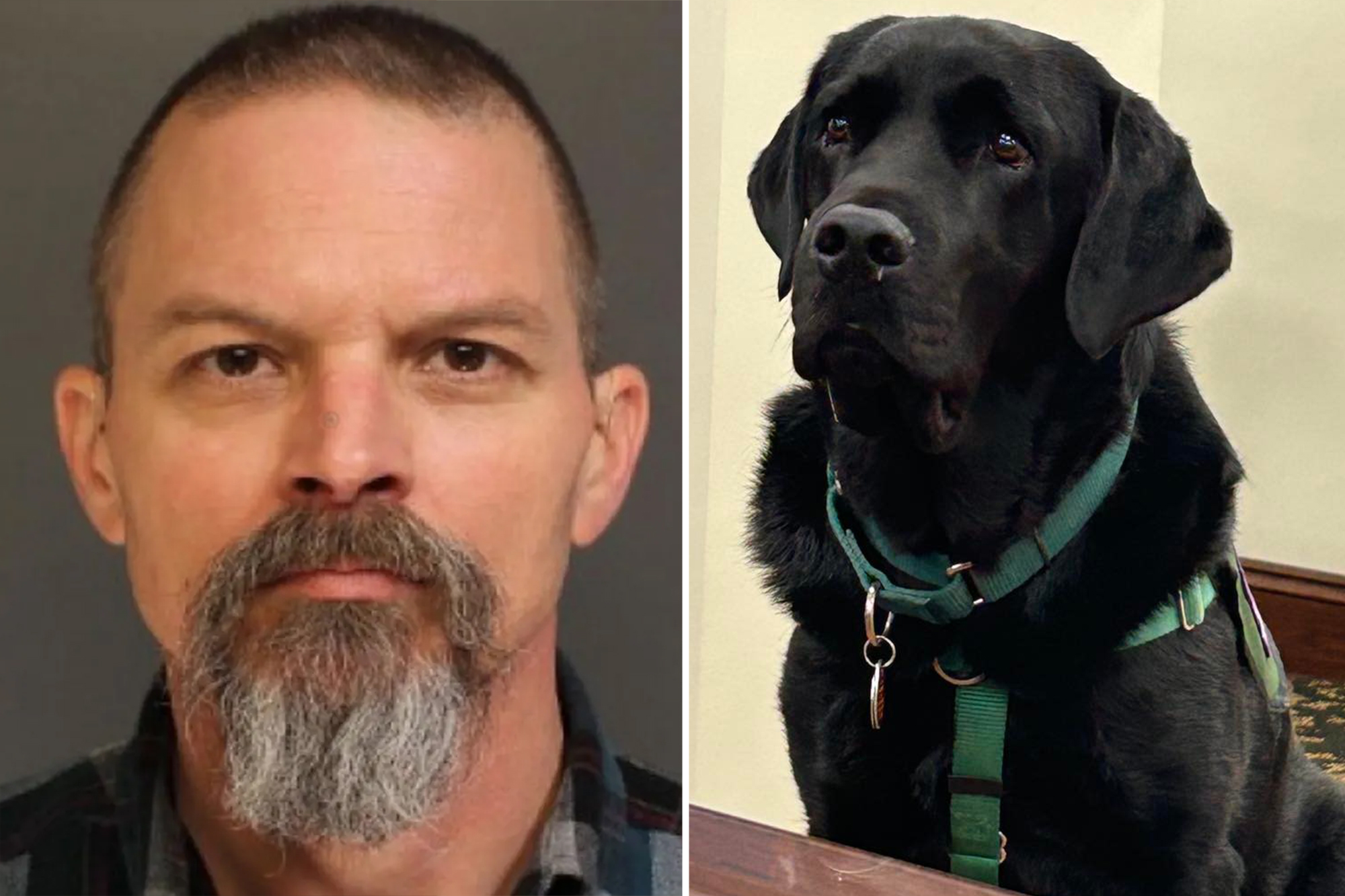 Judge declares mistrial for man accused of killing neighbor’s yellow ...