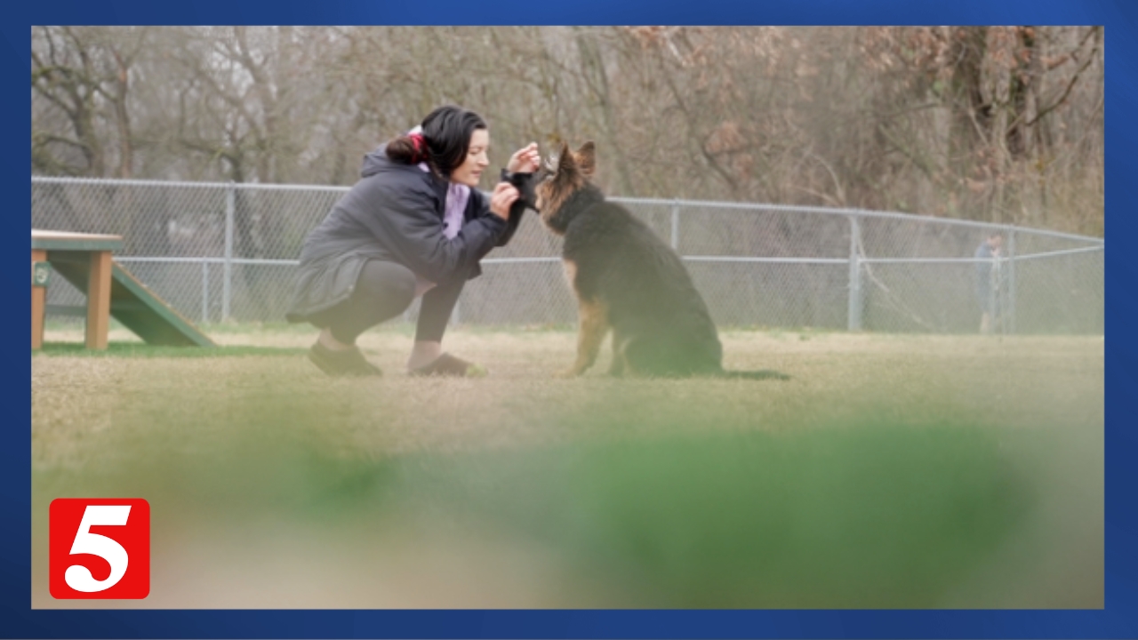 Hendersonville installs pet microchip scanner at Memorial Park