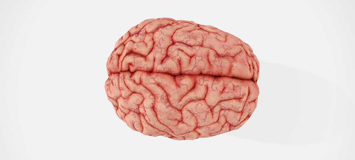 Brain health