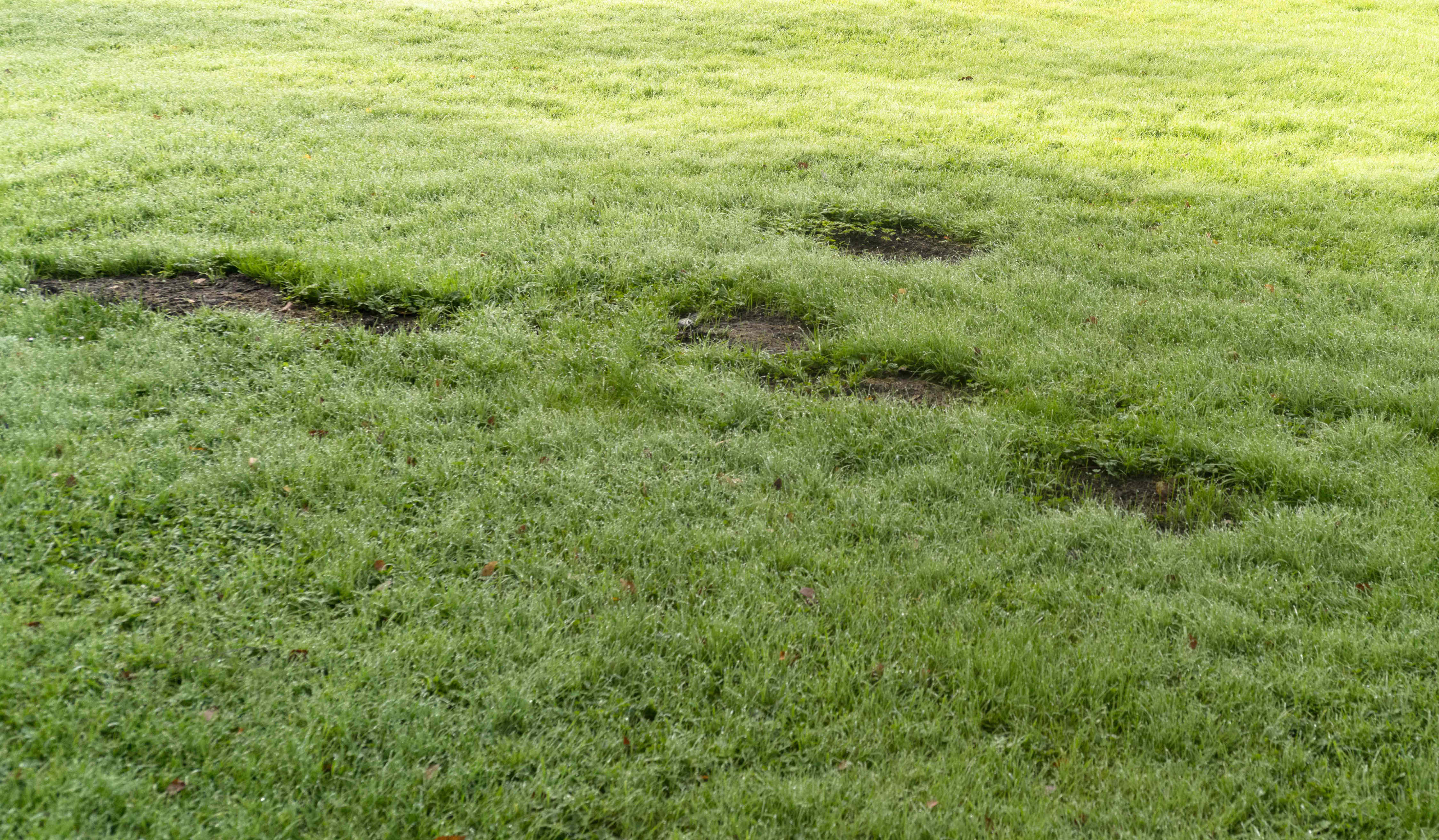 How to level uneven ground in your lawn without heavy equipment
