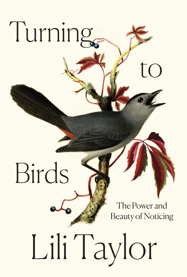 How one actress discovered the joy of birdwatching (and you can, too)