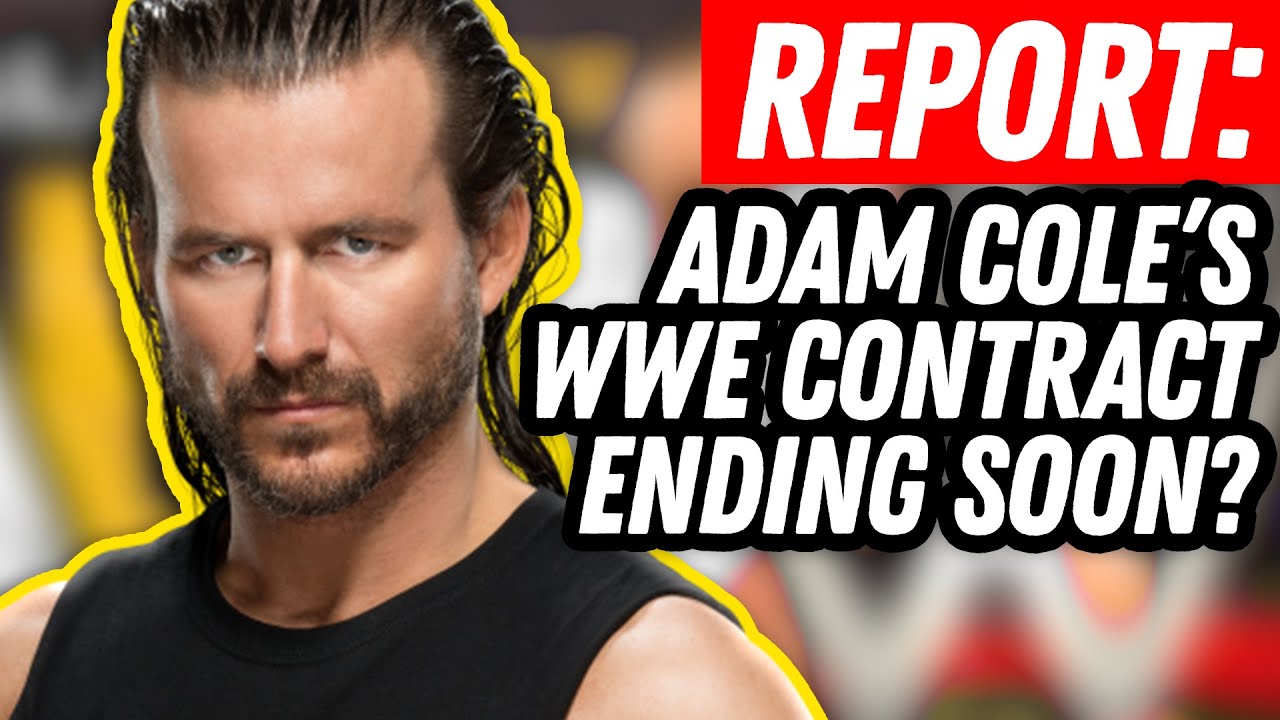 Reporting Adam Cole contract status and Bray Wyatt update (2 of 4)