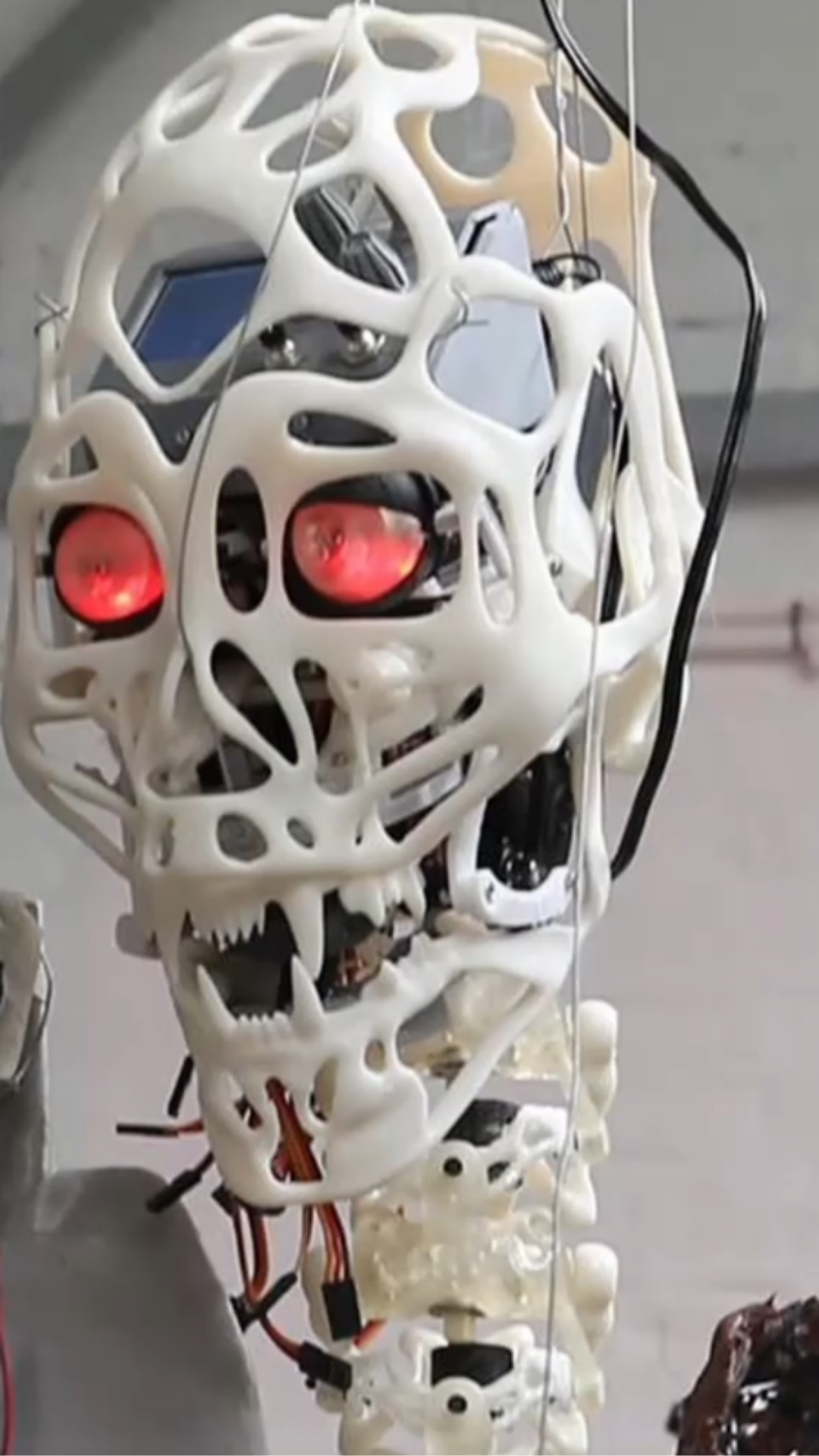 How a rippling spine design improves robot movement