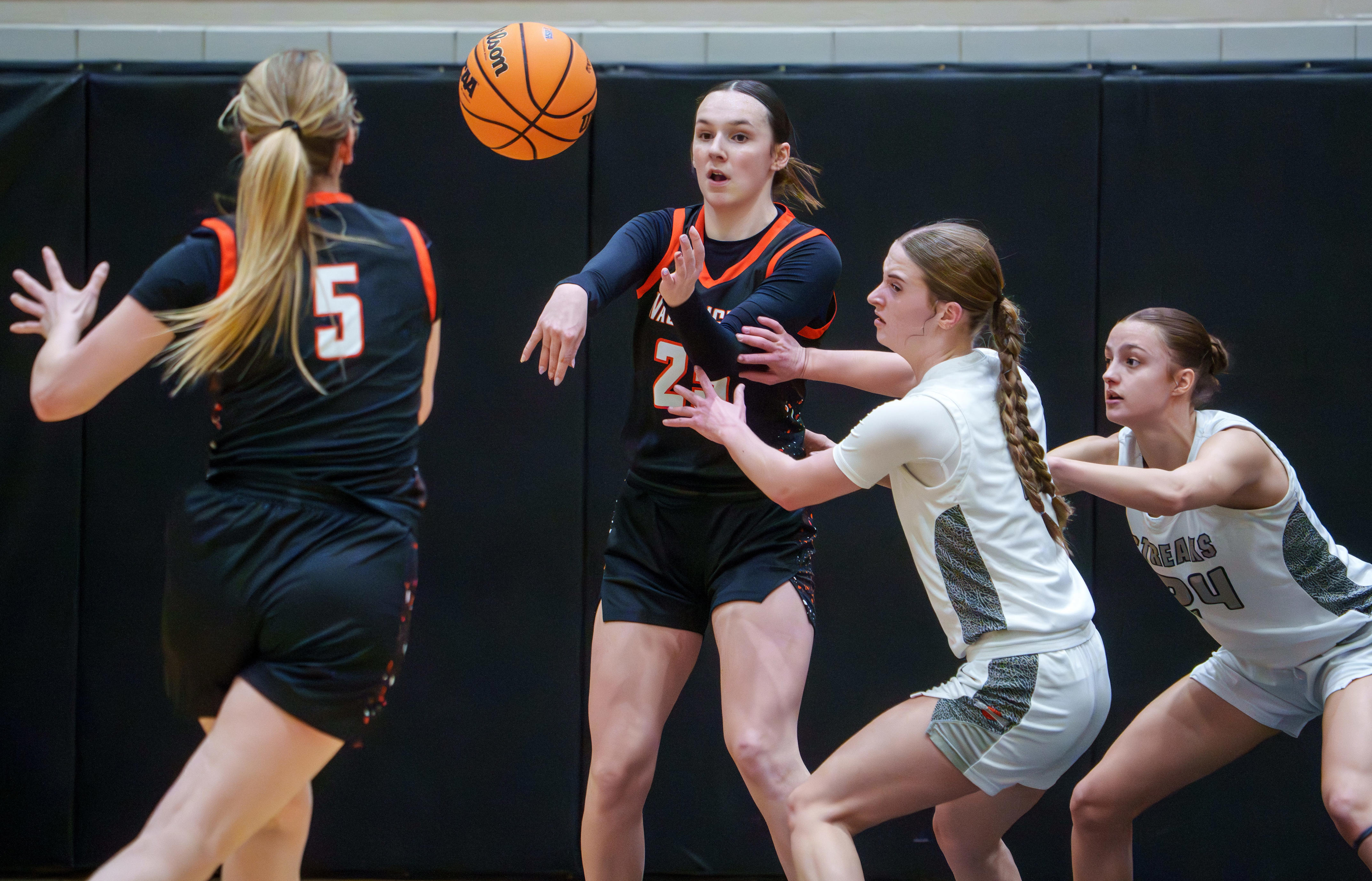 IHSA girls basketball playoffs: Elite Eight scores from around Illinois