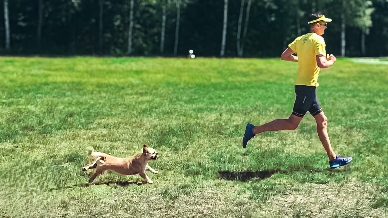 Tiny dog followed him across 155 miles of desert – and changed his life
