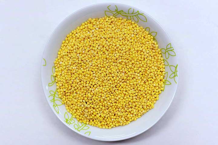 Descubra o que os pássaros amam comer