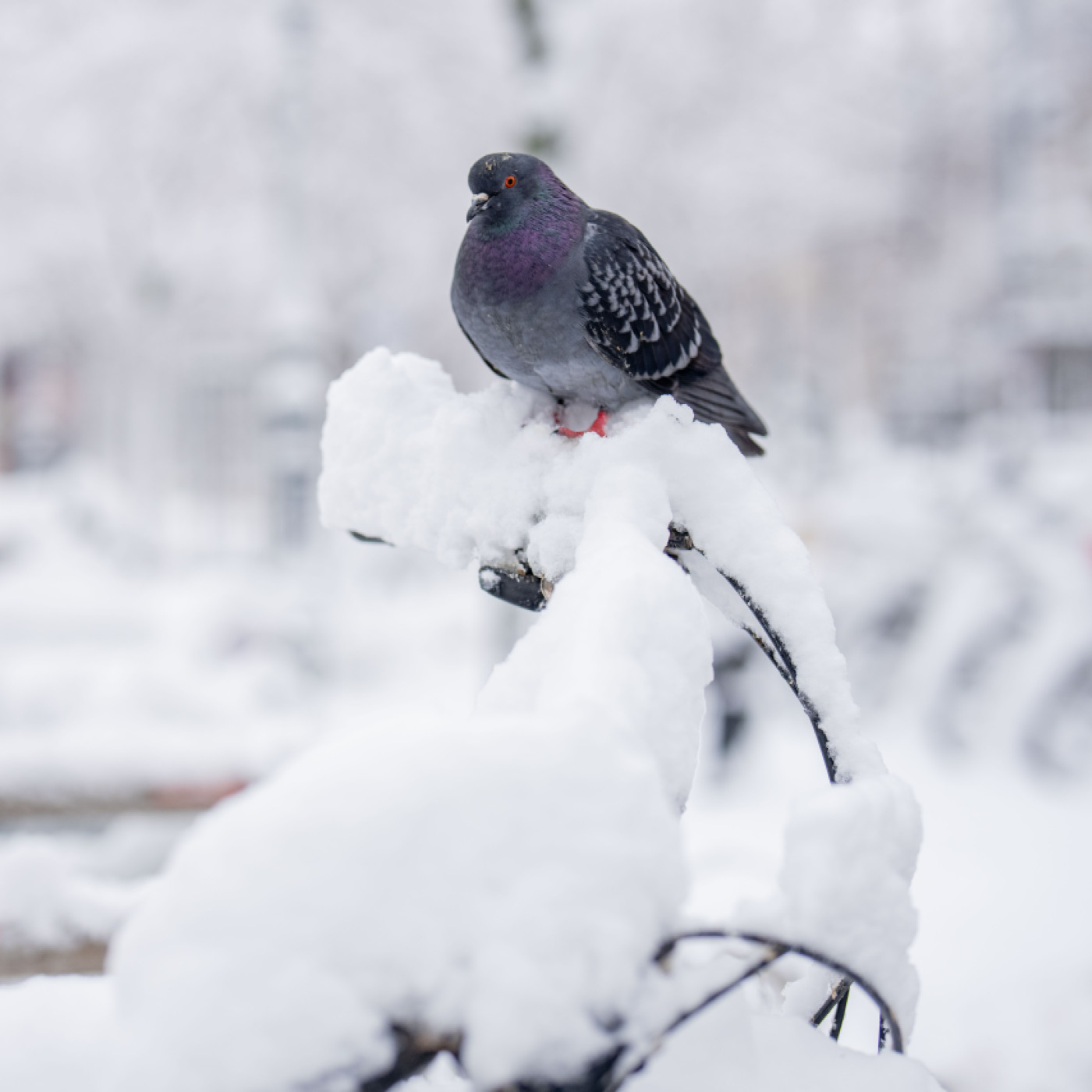 Sonniger Westen, trüber Osten im Winter 2025/26
