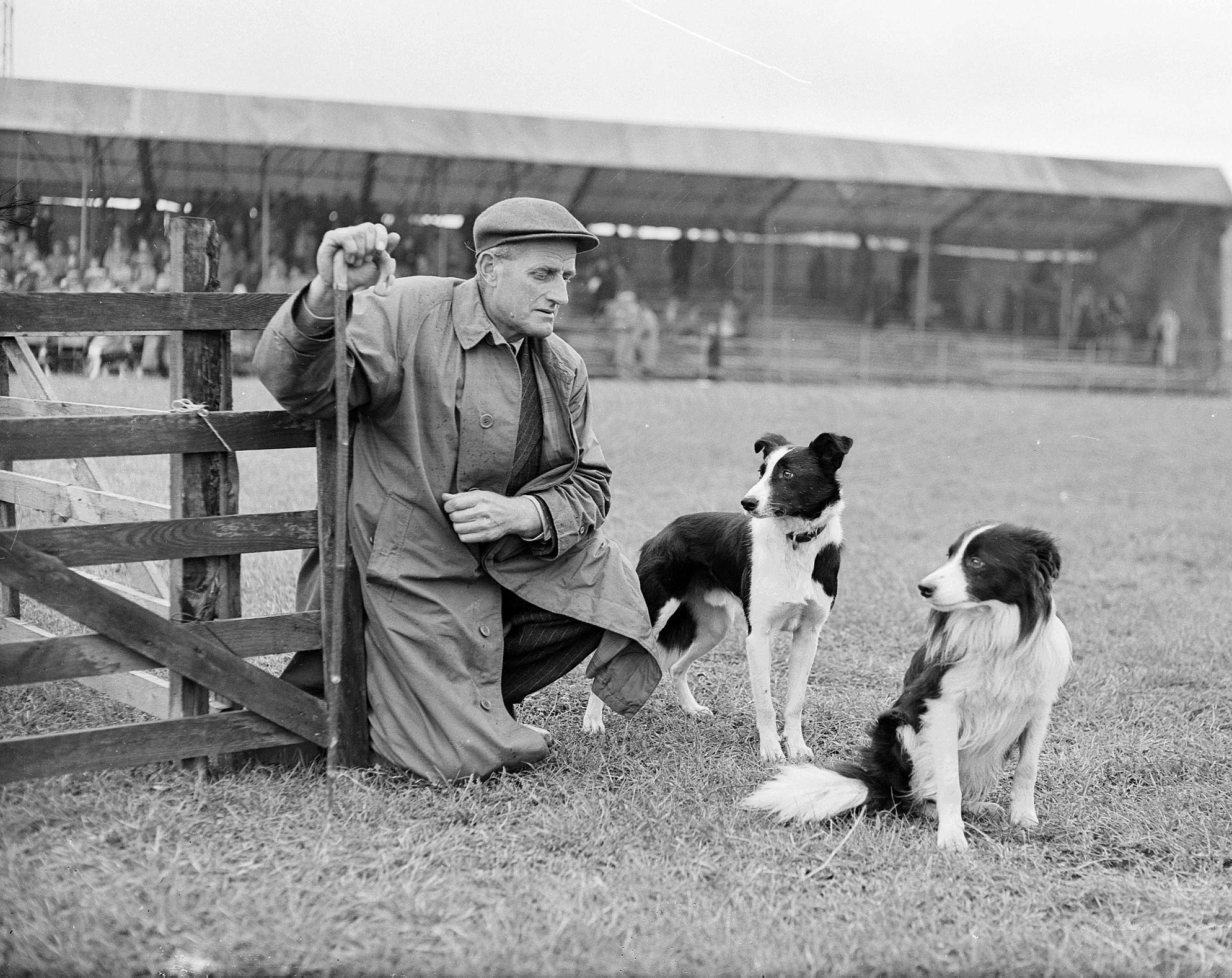 Craigentinny heritage in pictures: Here are 22 fascinating photos of ...