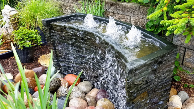 30 easy, low maintenance ideas for landscaping