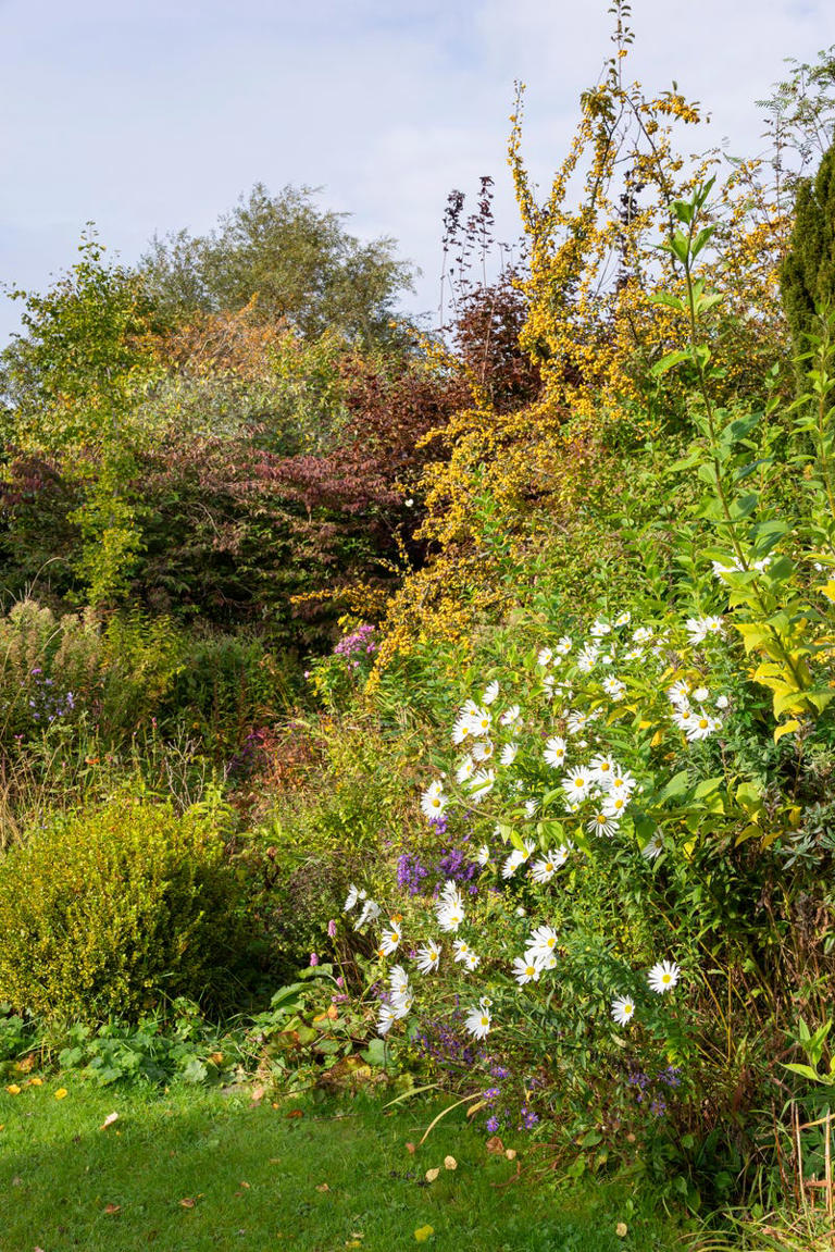 30 garden edging ideas that instantly upgrade your outdoor space