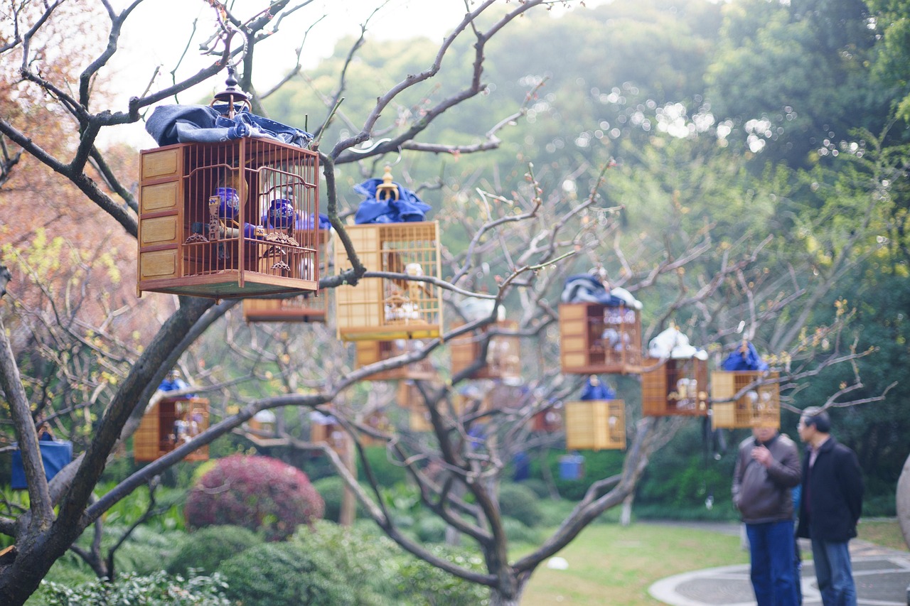 10 forgotten household items you can transform into eye-catching garden ...