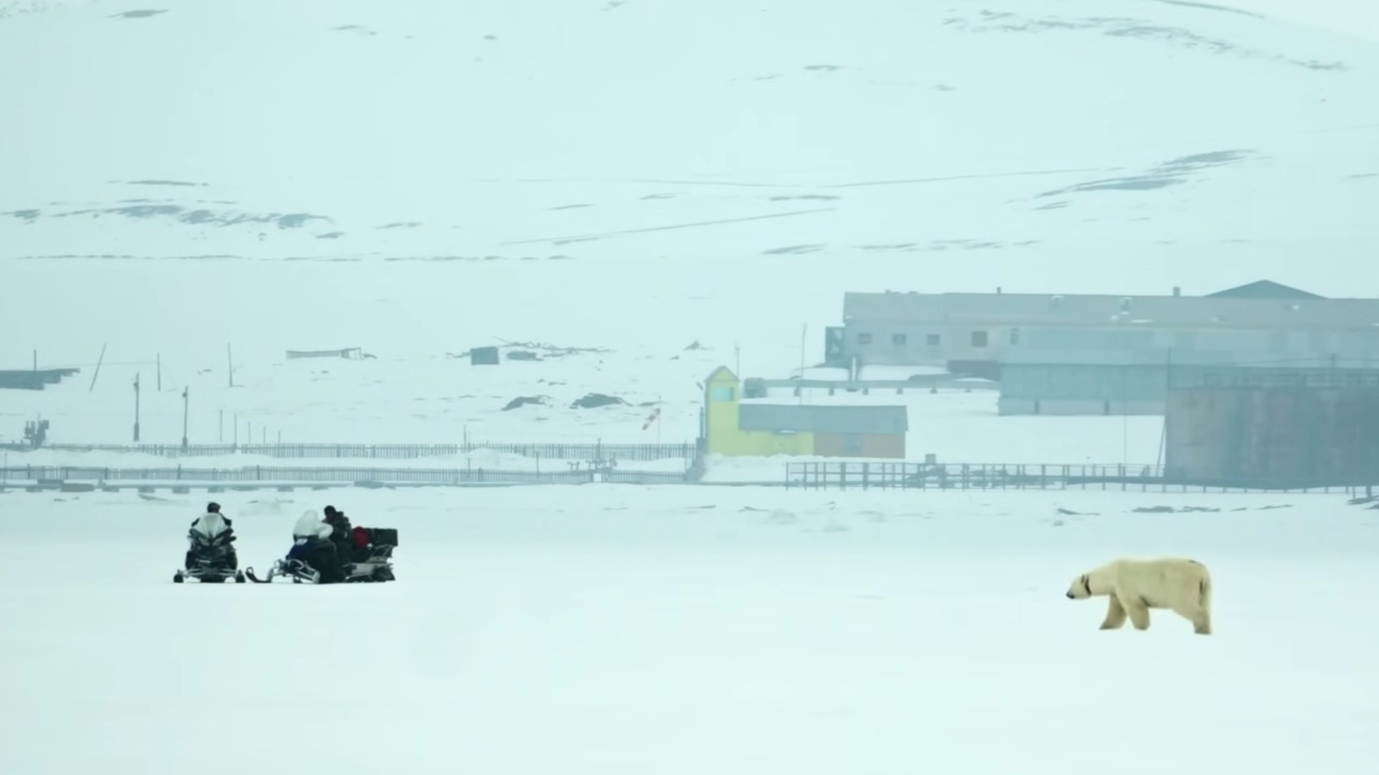 Watch what happens when tourists come too close to a polar bear
