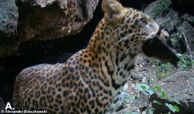 Outbreak panic erupts as deadly eye-bleeding virus ground zero exposed ...