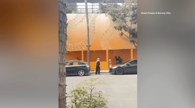Five suspects arrested in violent 2024 Rodeo Drive robbery