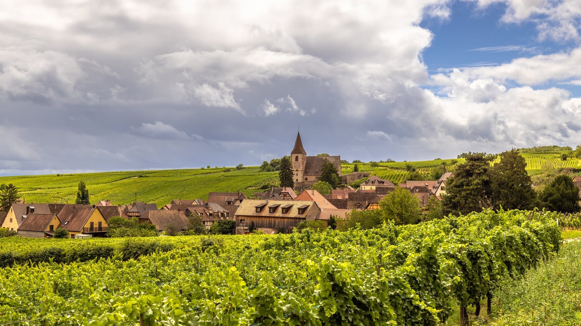 Dans cet ancien château historique, au milieu des vignobles, vous ...